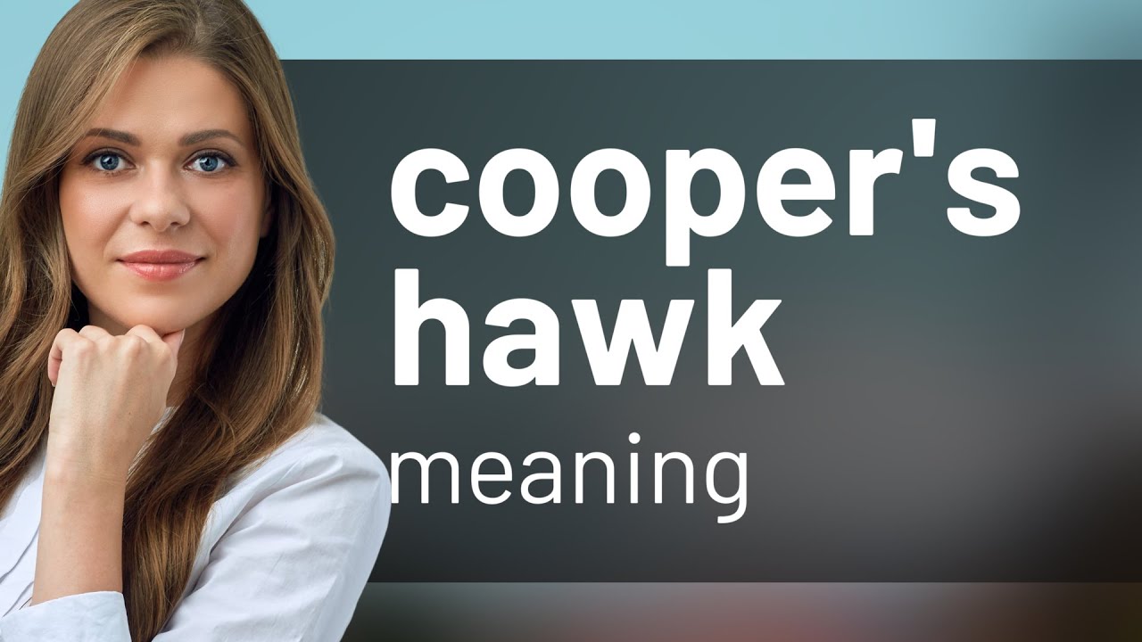 Cooper's hawk | what is COOPER'S HAWK meaning - YouTube