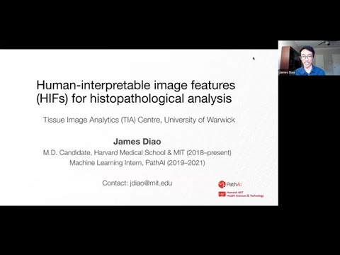 Human-interpretable image features predict diverse molecular phenotypes ...