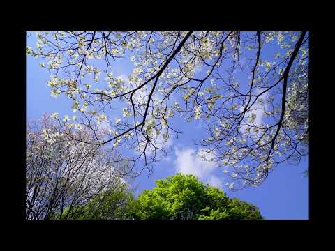 Carpenters - Heather (Johnny Pearson)