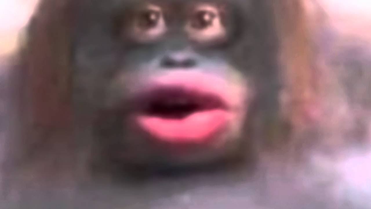 Le Monke says stinky ft. Sans (Official Video) - YouTube