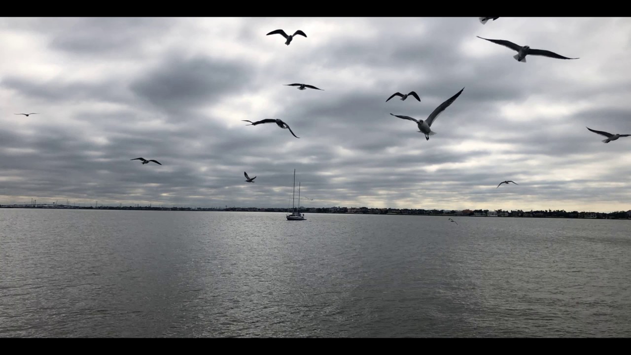 Ocean and lake views - YouTube