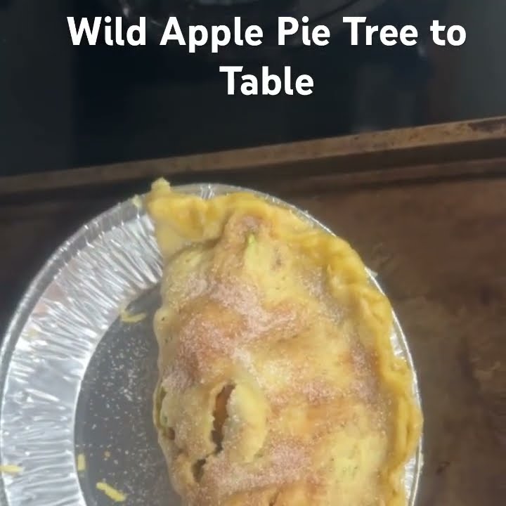 Wild Apple Pie Tree to Table from LA Ranch - YouTube