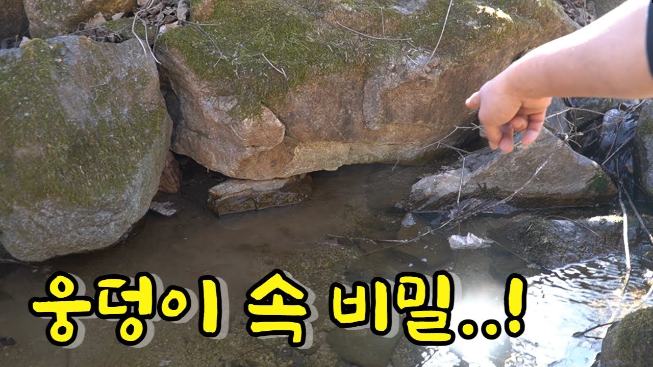 1급수에 사는 물고기를 맨손으로 잡아 김밥을 만들어 먹어보자~ Youtube