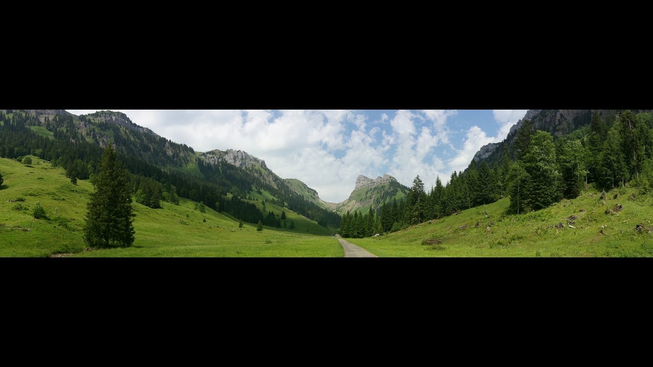 DIE SLAWISCH ARISCHEN WEDEN - URAHNENERBE DER WEISSEN RASA, Switzaria ...
