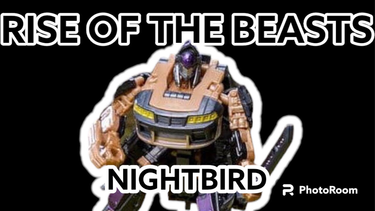 (The colors)Transformers Rise of the Beasts Nightbird - YouTube
