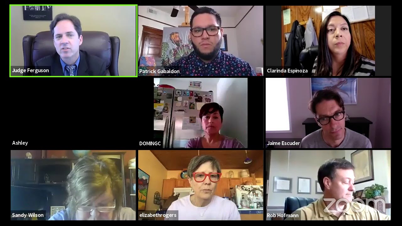 Judge Ferguson's Zoom Training Session - YouTube