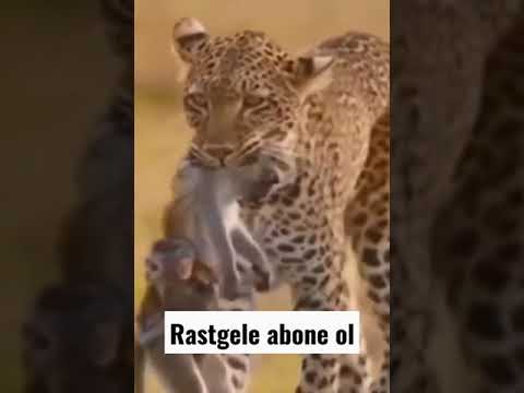 anne sevgisi# içimi yaktı