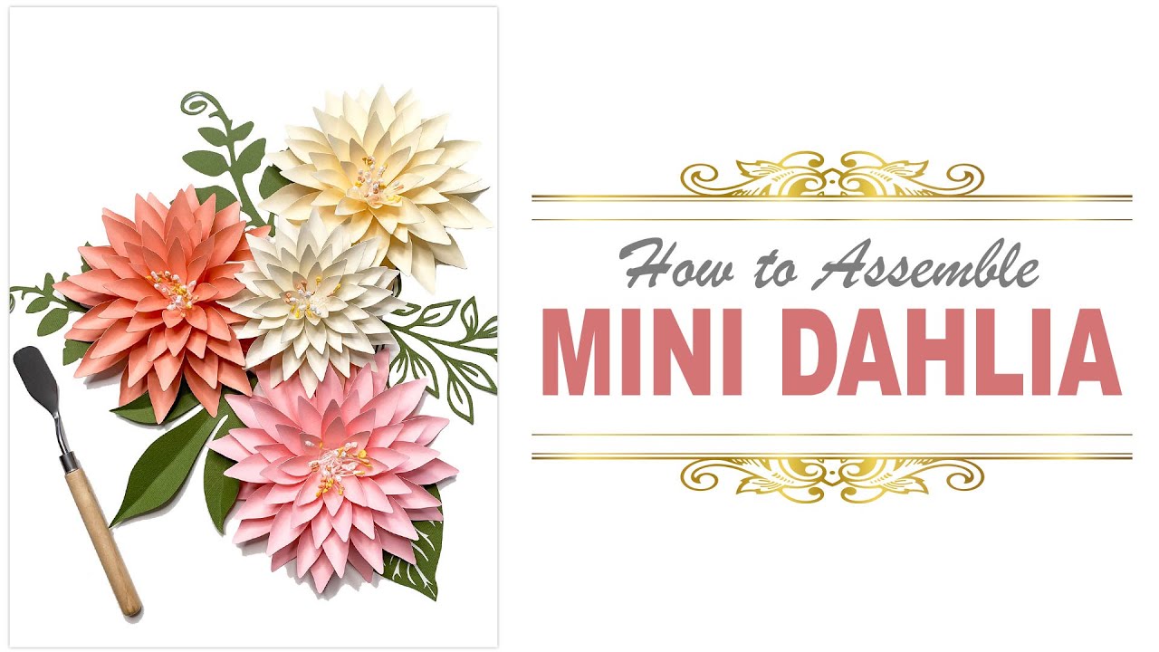 How to Asemble Mini Dahlia - YouTube