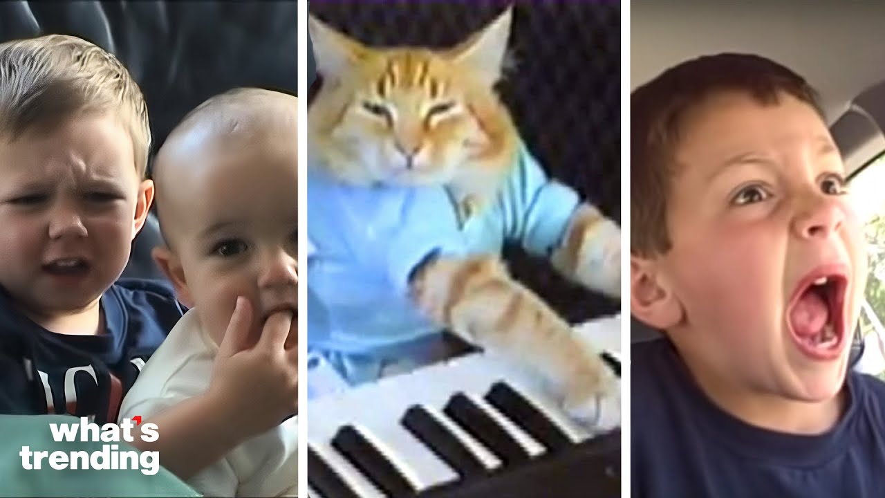 The Top Viral Videos of the Early 2000s - YouTube