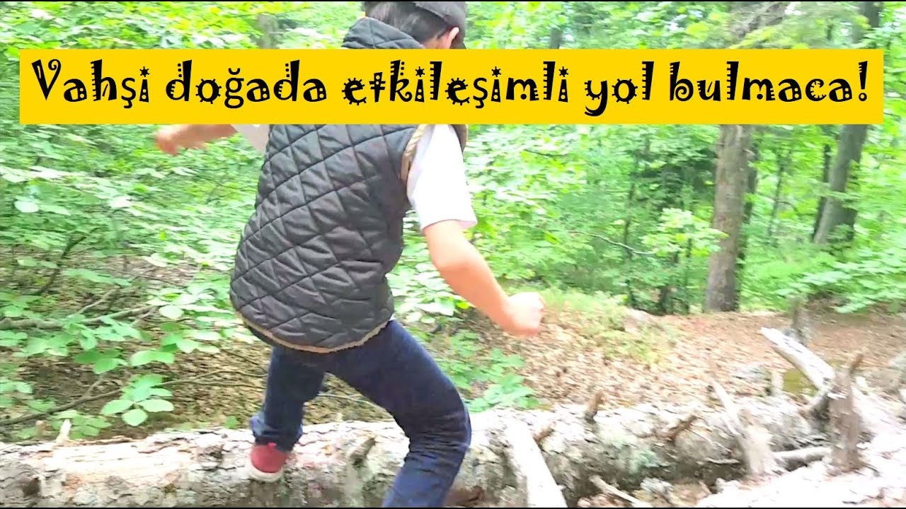 Vahşi doğada etkileşimli yol bulmaca ! - YouTube