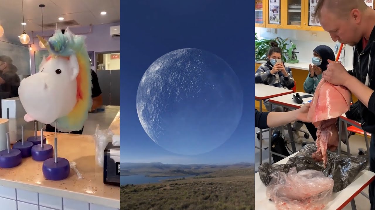 Cool things to watch - YouTube
