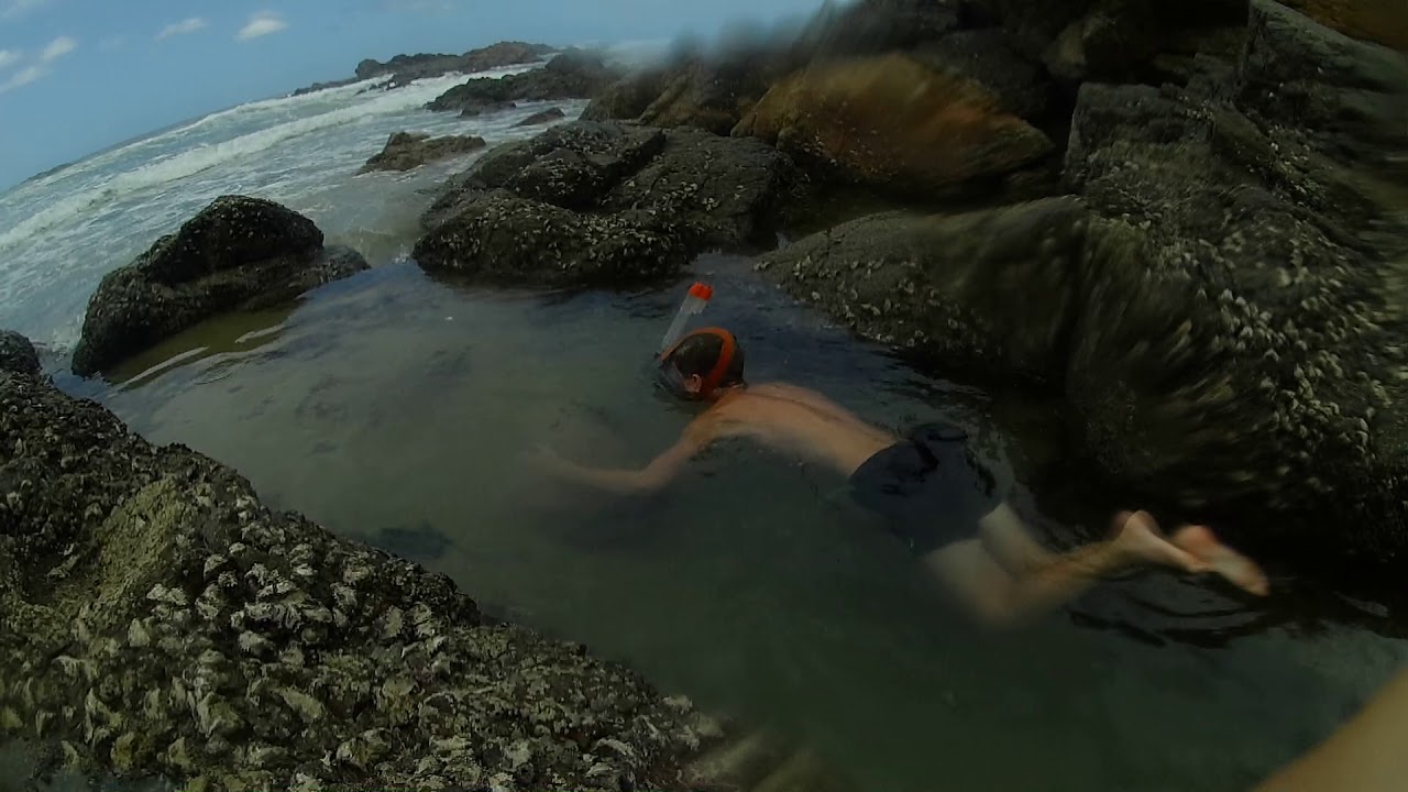 Diving in pond - YouTube