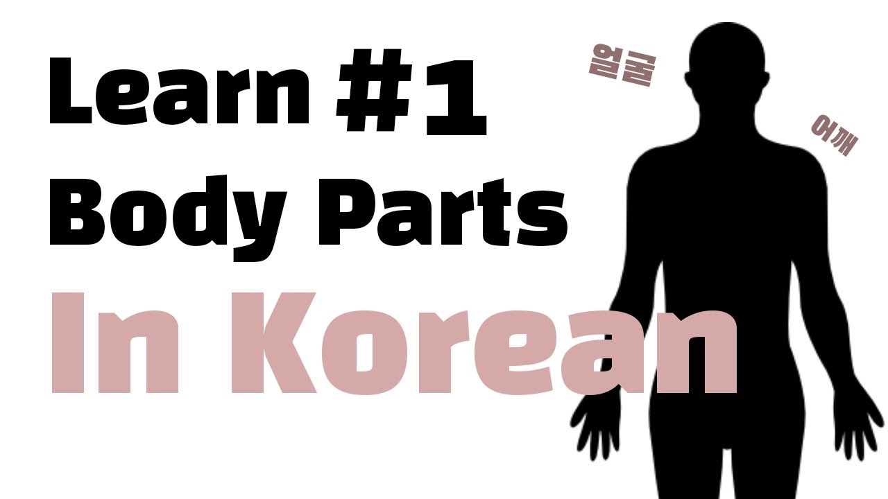 Parts of The Body in Korean #1 | Learn Basic Korean Vocabulary ...