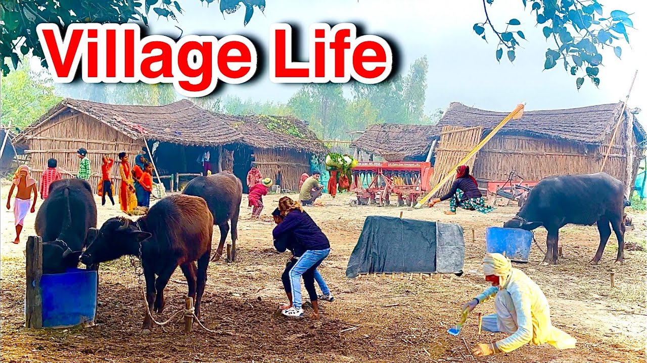 Some Undiscovered Villages Of India [] Very Poor Village In Uttar ...