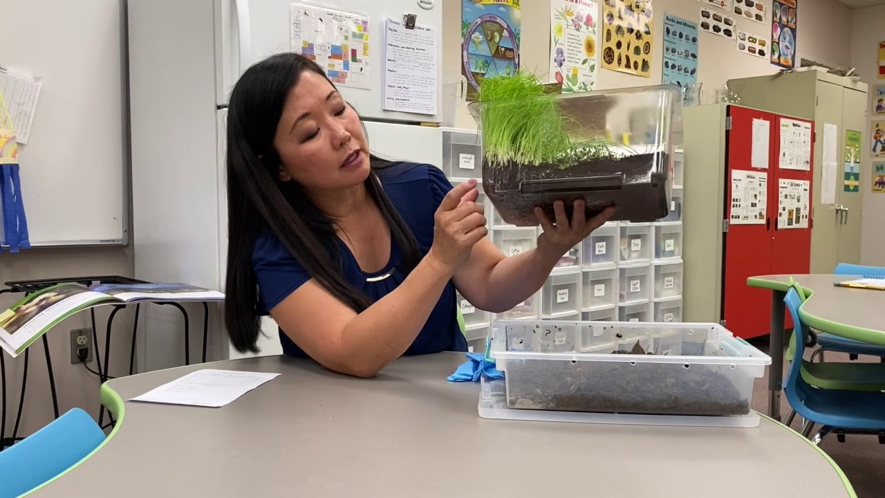First Grade Science Terrariums With Animals - YouTube