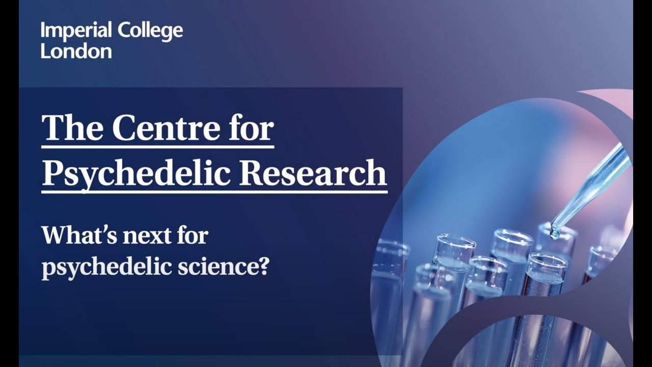 The Centre for Psychedelic Research: What’s next for psychedelic ...