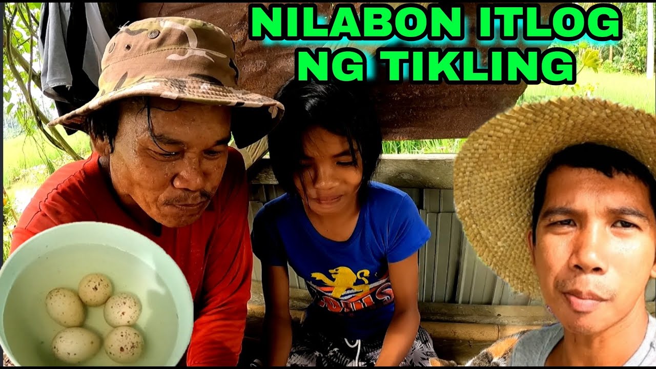 ITLOG NG TIKLING NILAGA - YouTube