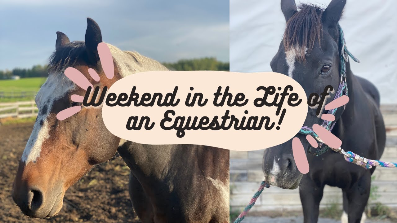Weekend in my Life as an Equestrian! #horses #weekendvlog #equestrian ...