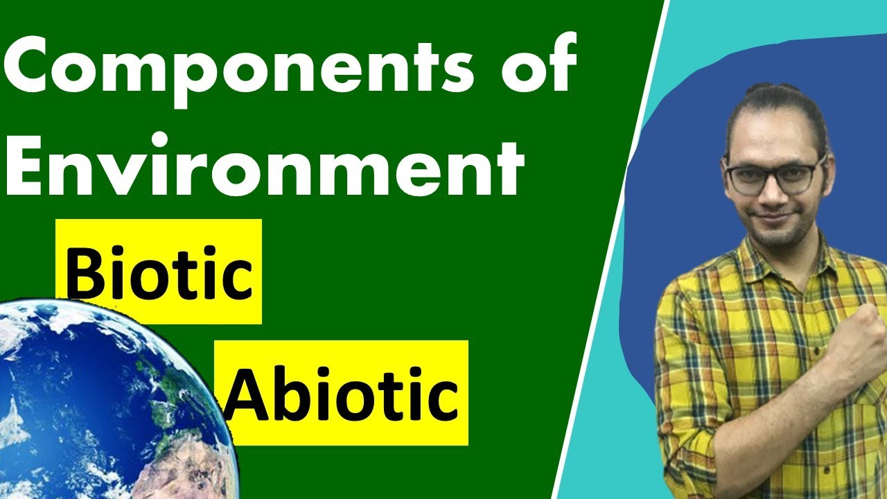 Components of Ecosystem and Environment- Biotic & Abiotic #upsc #IAS ...