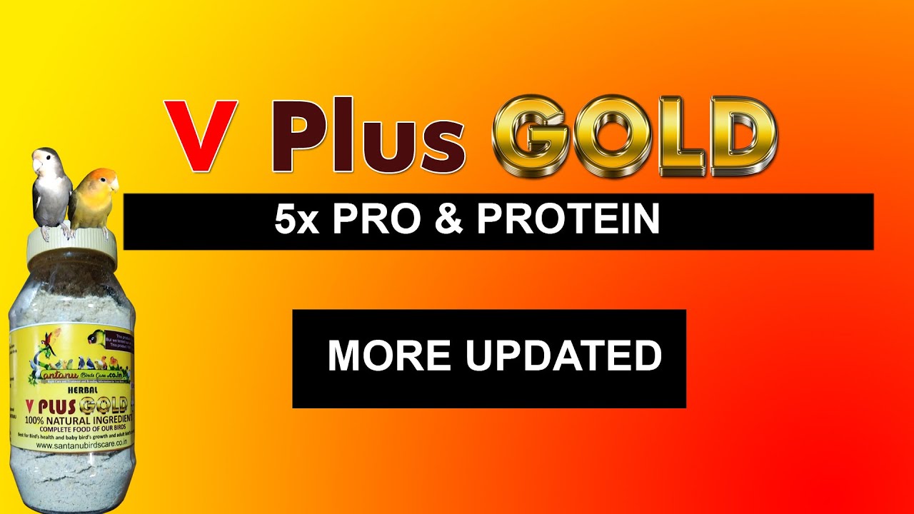 V Plus Gold Premium 5X Pro & Protein Food With V Plus Digester Now More Updated - YouTube
