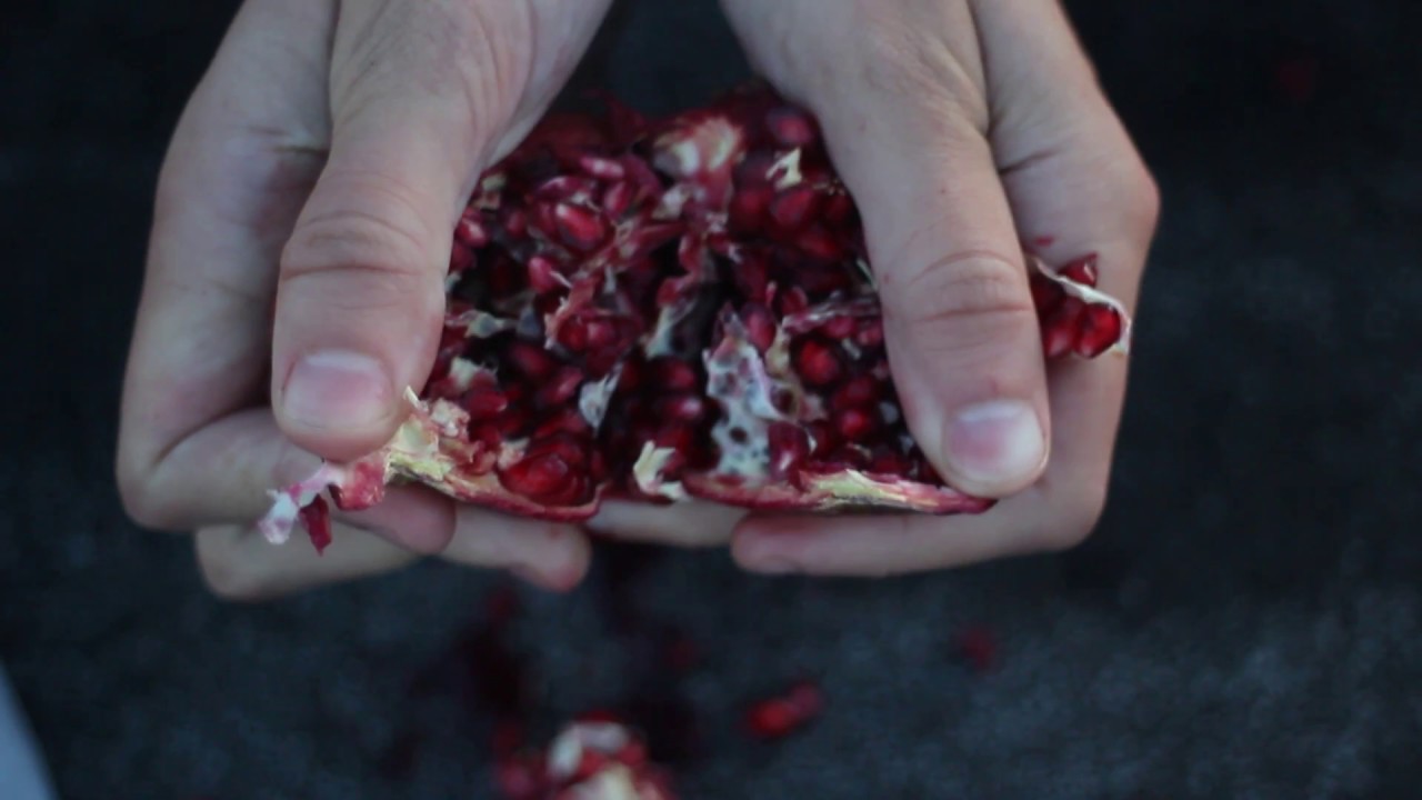 Rallidae - Now I Walk In Beauty (official video by Brooke Herr) - YouTube