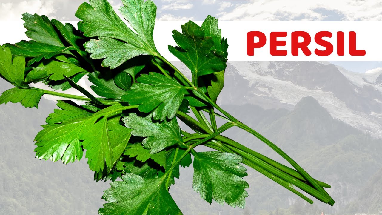 Manger 1 persil le matin fait cela à votre corps | Quels sont les ...