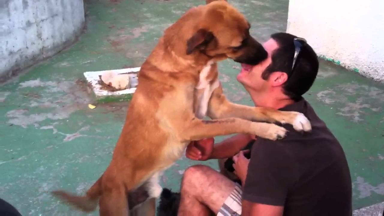 Perro pepe - YouTube