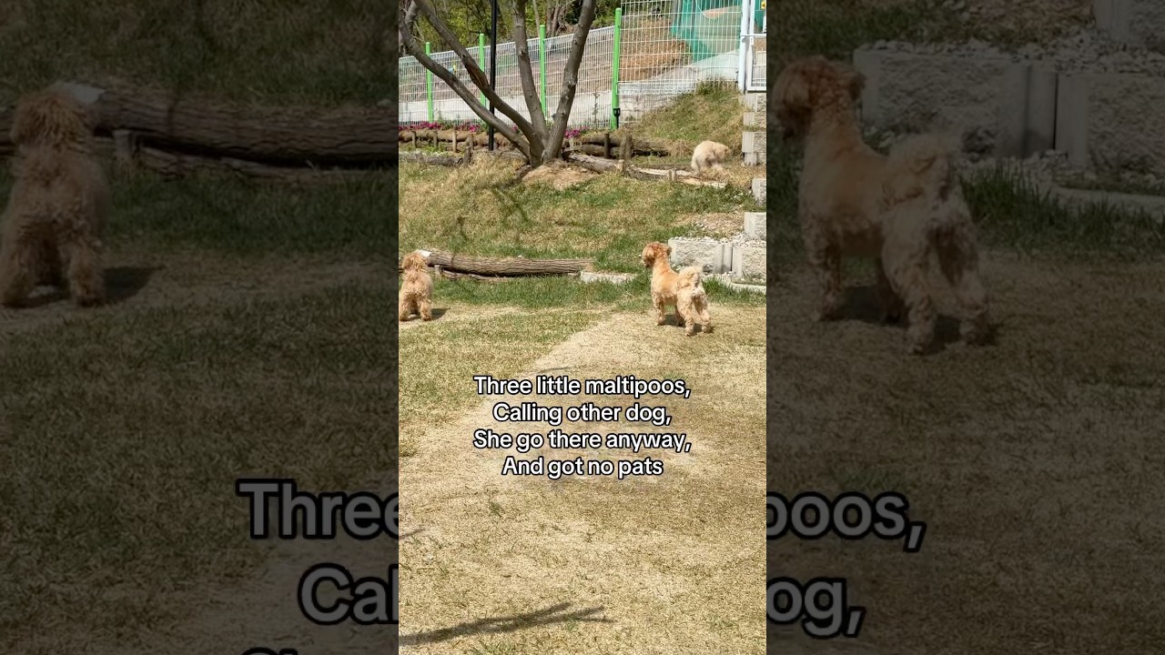 🐕: “HUH? Meee??” - YouTube