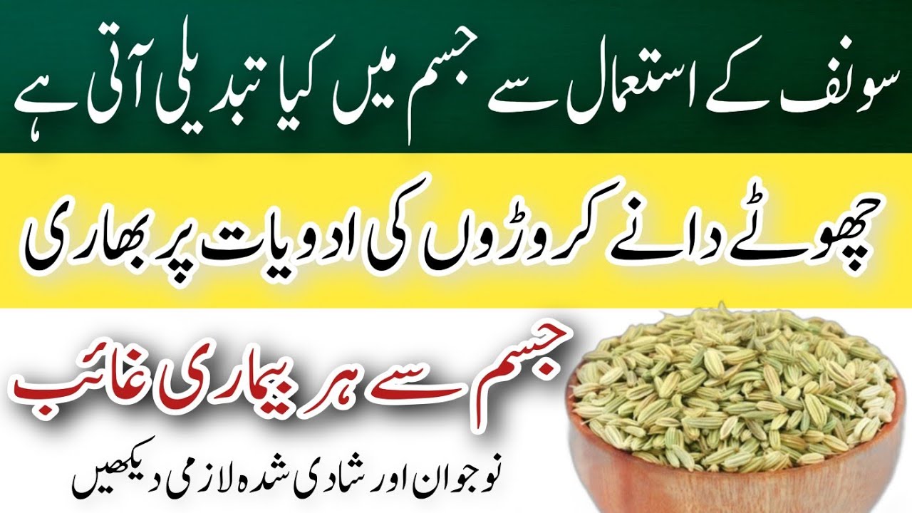 Fennal Seeds Benefits | Saunf Khane Ke Fayde | Saunf Ke Fayde | Fennal ...