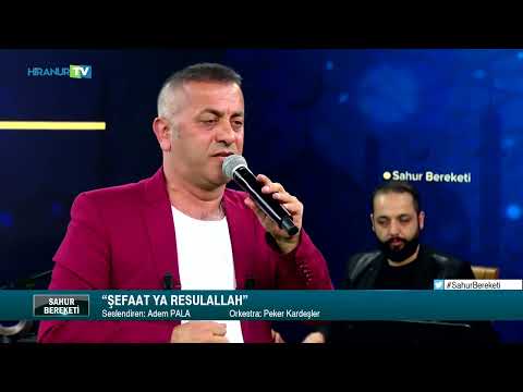 Şefaat Ya Rasulallah | Adem Pala