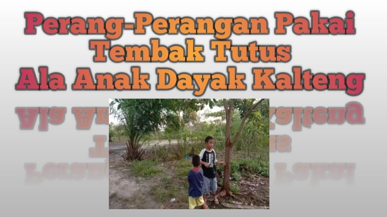 Perang-perangan Ala Anak Dayak Bermain Tembak Dari Bambu ( Tembak Tutus ...
