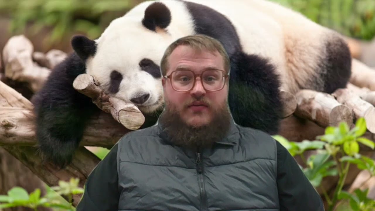 Porter's Panda Palooza (1.28.2022) - YouTube