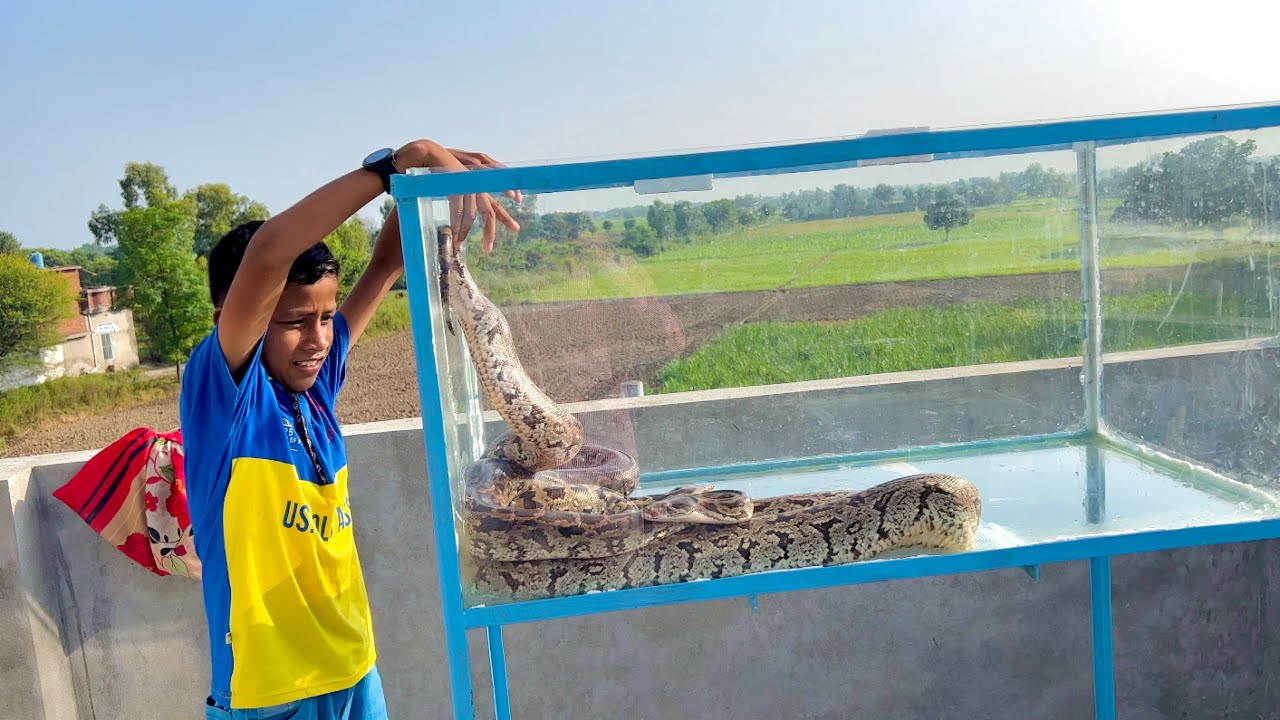 New House For Snake 🐍 - YouTube