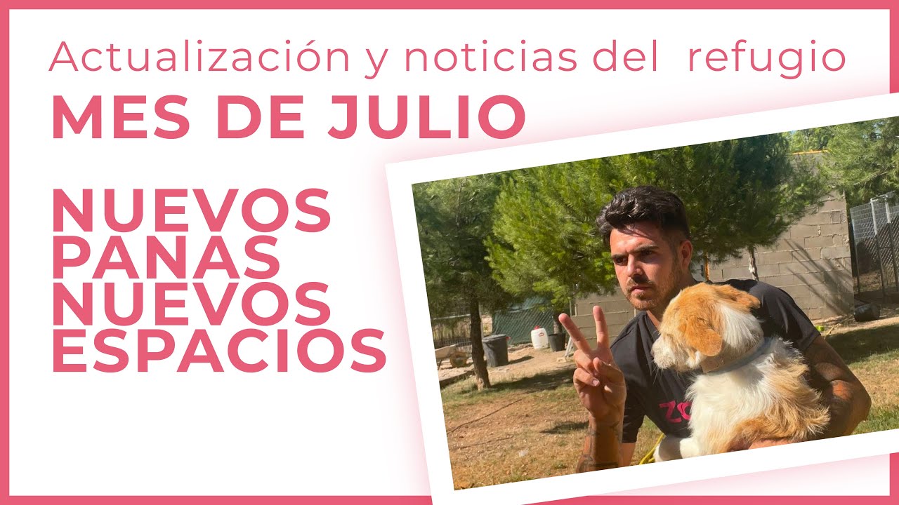 Actualización del refugio Mes de Julio y futuros proyectos | #refugiodeanimales #refugio - YouTube