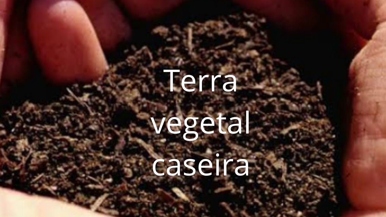 Como fazer terra vegetal orgânica ( compostagem caseira ) horta na ...