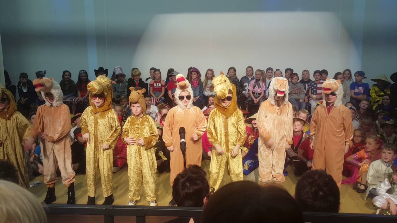 Funky camles - YouTube