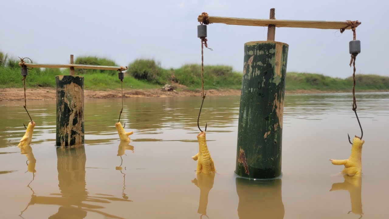 Wow Best hanging Hook fishing system with chicken leg baits Boy Hunting ...