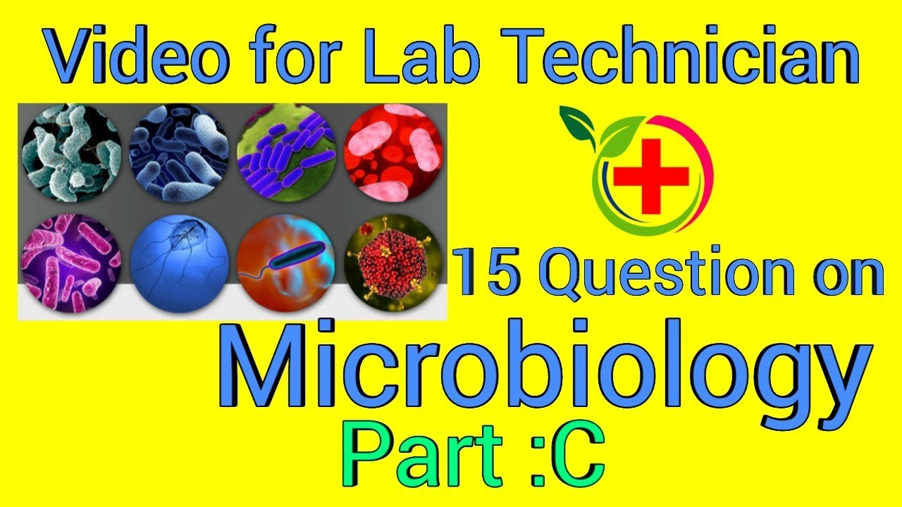 Microbiology 15 Questions Part C LABORATORY TECHNICIAN microbiology-15-questions-part-c-laboratory-technician