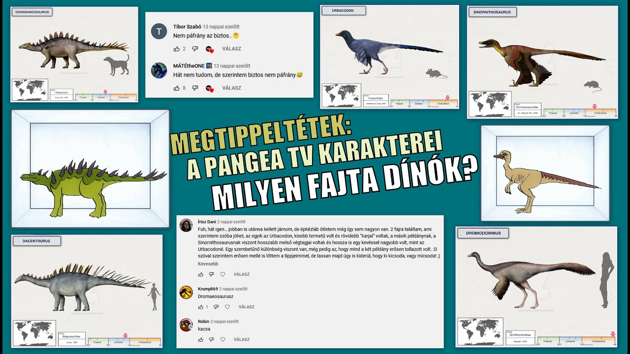 Tippelős játék: Íme a megfejtések :D | PANGEA TV karakter fajok - YouTube