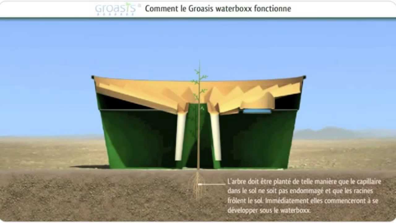 Comment fonctionne le Groasis waterboxx contre la désertification - YouTube