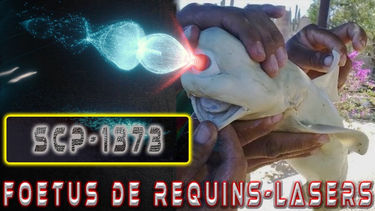 [Mission 16] SCP-1373 : Fœtus de requins laser. - YouTube