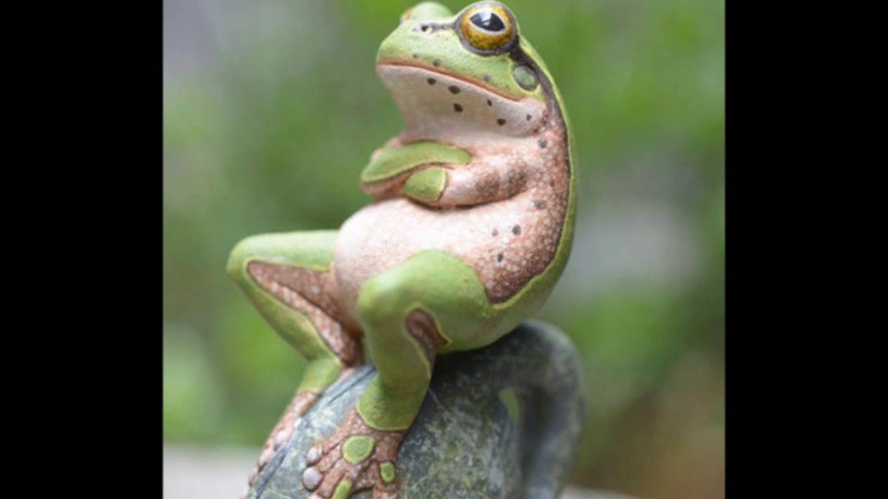 El Sapito-Música campesina Colombiana - YouTube