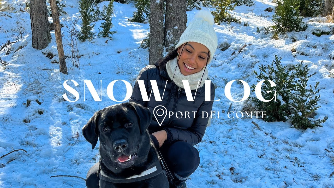 My 10 month labrador sees snow for the first time! - YouTube