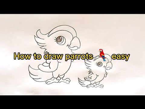How to draw parrots 🦜 easy - YouTube