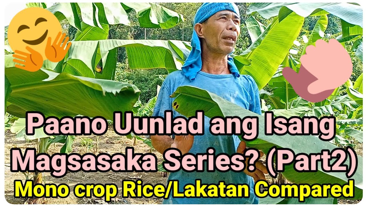 『Paano Uunlad ang Magsasaka Series (part2)』〘Minocrop Palay/Lakatan ...