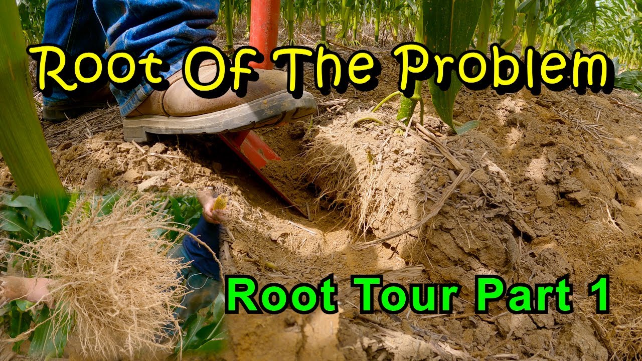 The Root Of The Problem: Root Tour 2023 Part 1 - YouTube