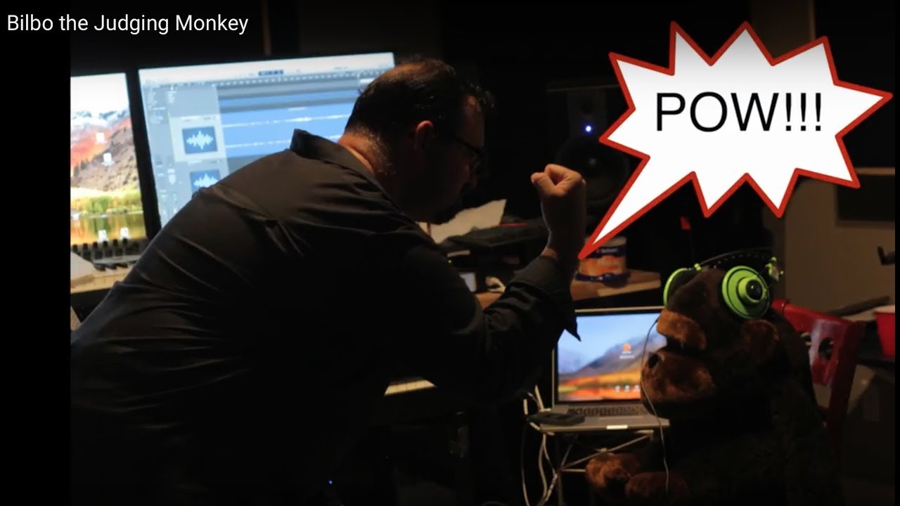 Bilbo the Judging Monkey - YouTube