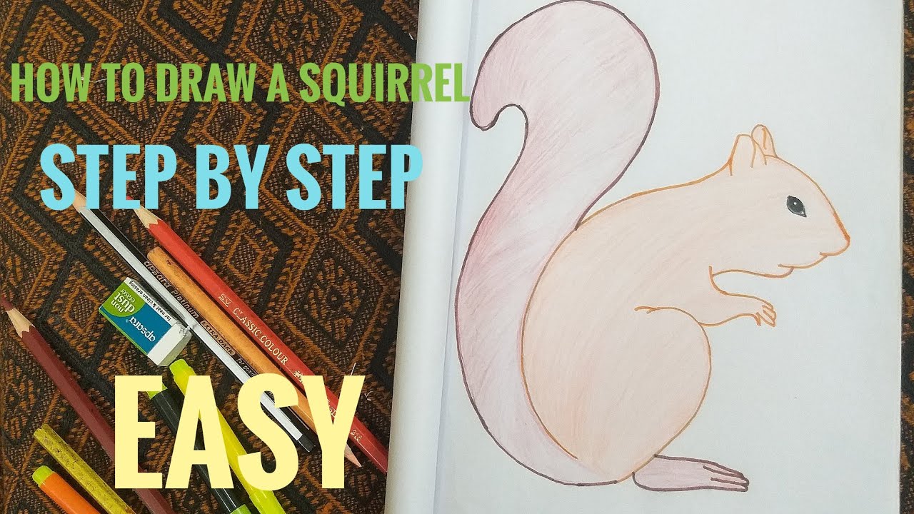 How to draw a squirrel | Squirrel drawing | Easy squirrel drawing ...
