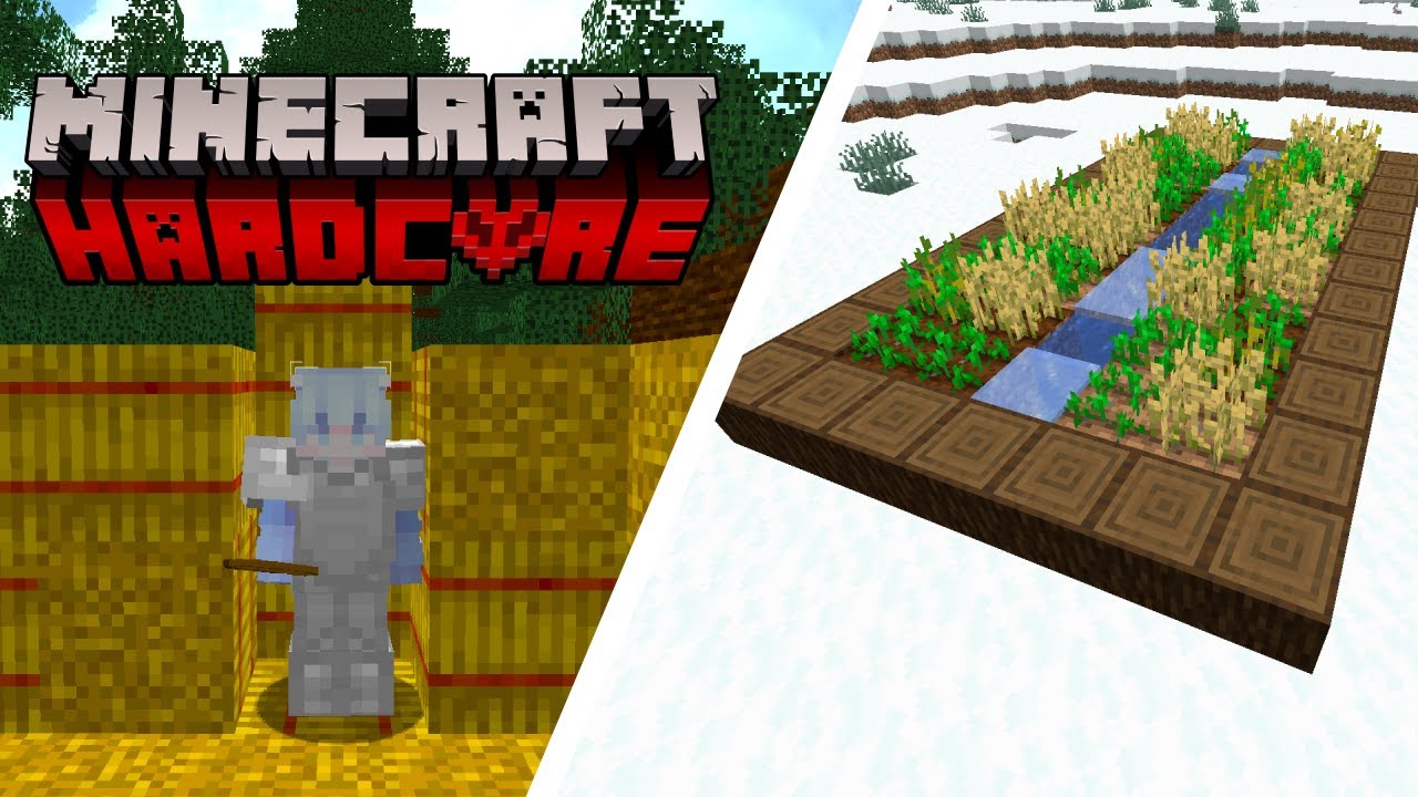 All the Wheat! | MC Hardcore S3 Part 2 - YouTube