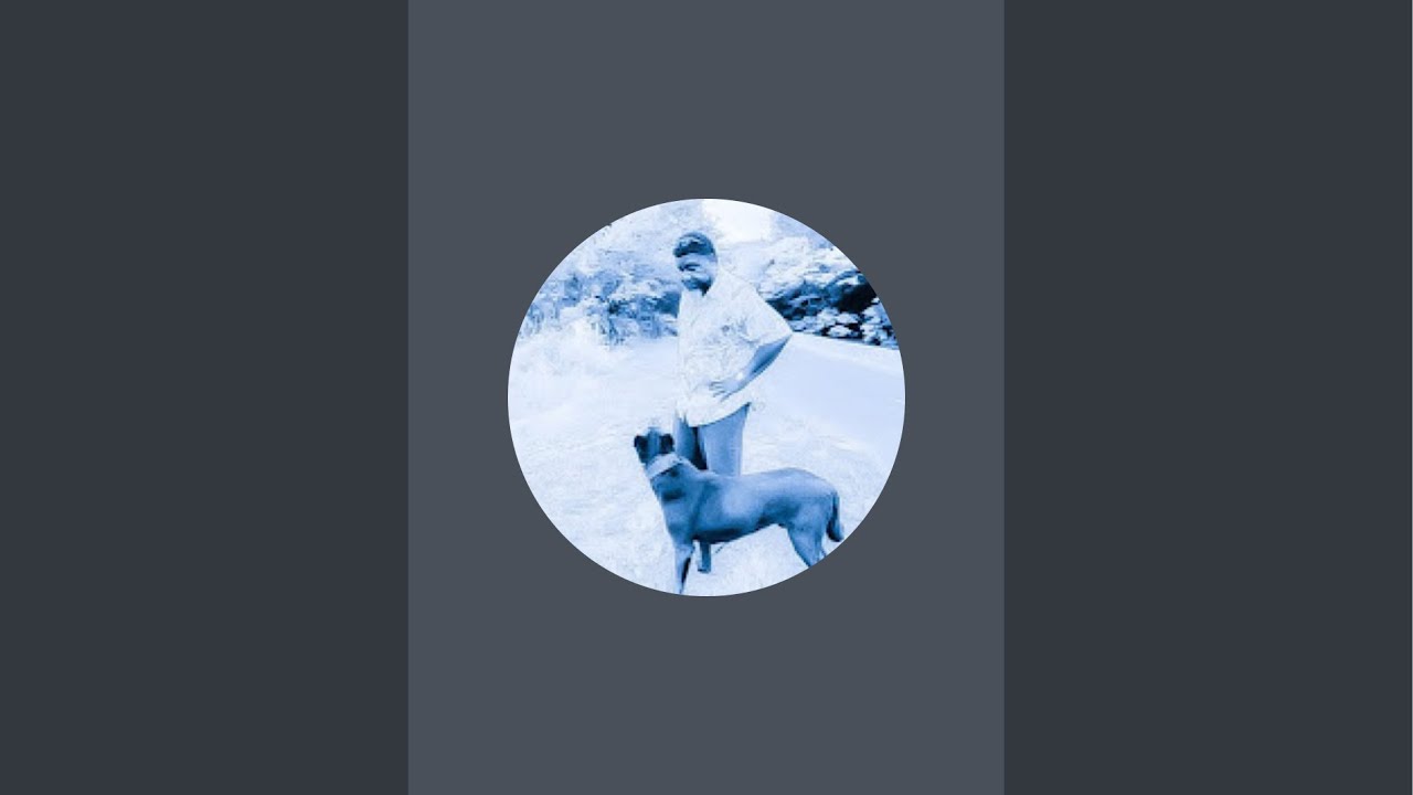 vanguard k9 dog trainings is live! - YouTube